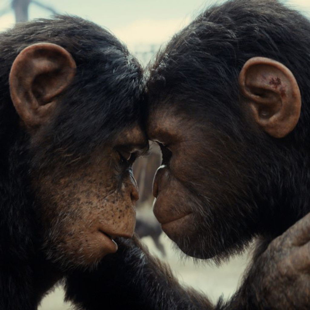 Kingdom of the Planet of the Apes - Pearl & Dean Cinemas